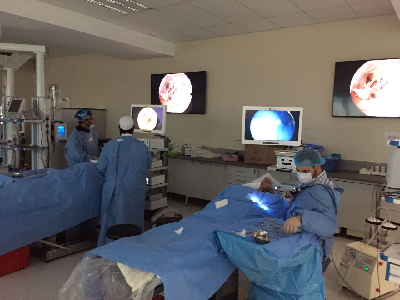 ENT Dissection courses