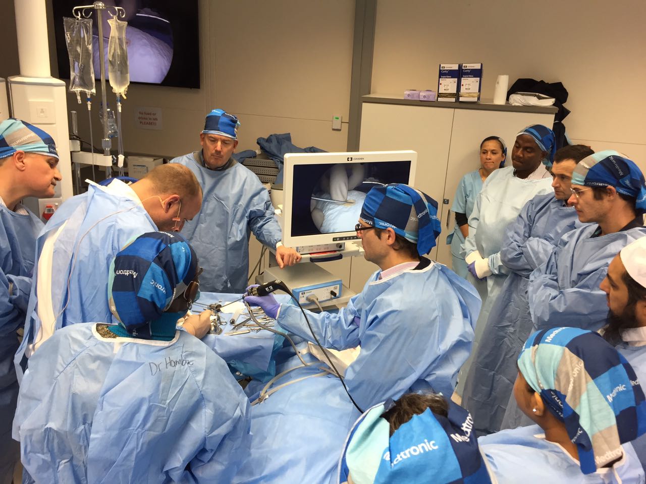 ENT Dissection courses